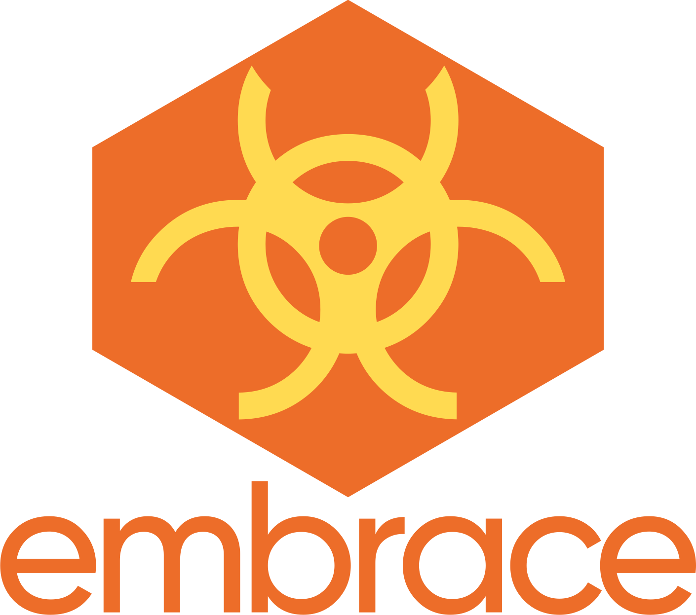 Description of the project | EMBRACE